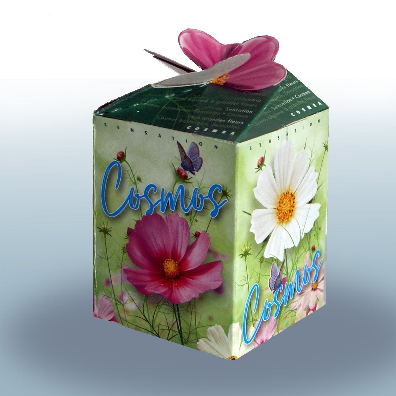 Kosmeen-Set - Cosmea bipinnatus | Bakker.com